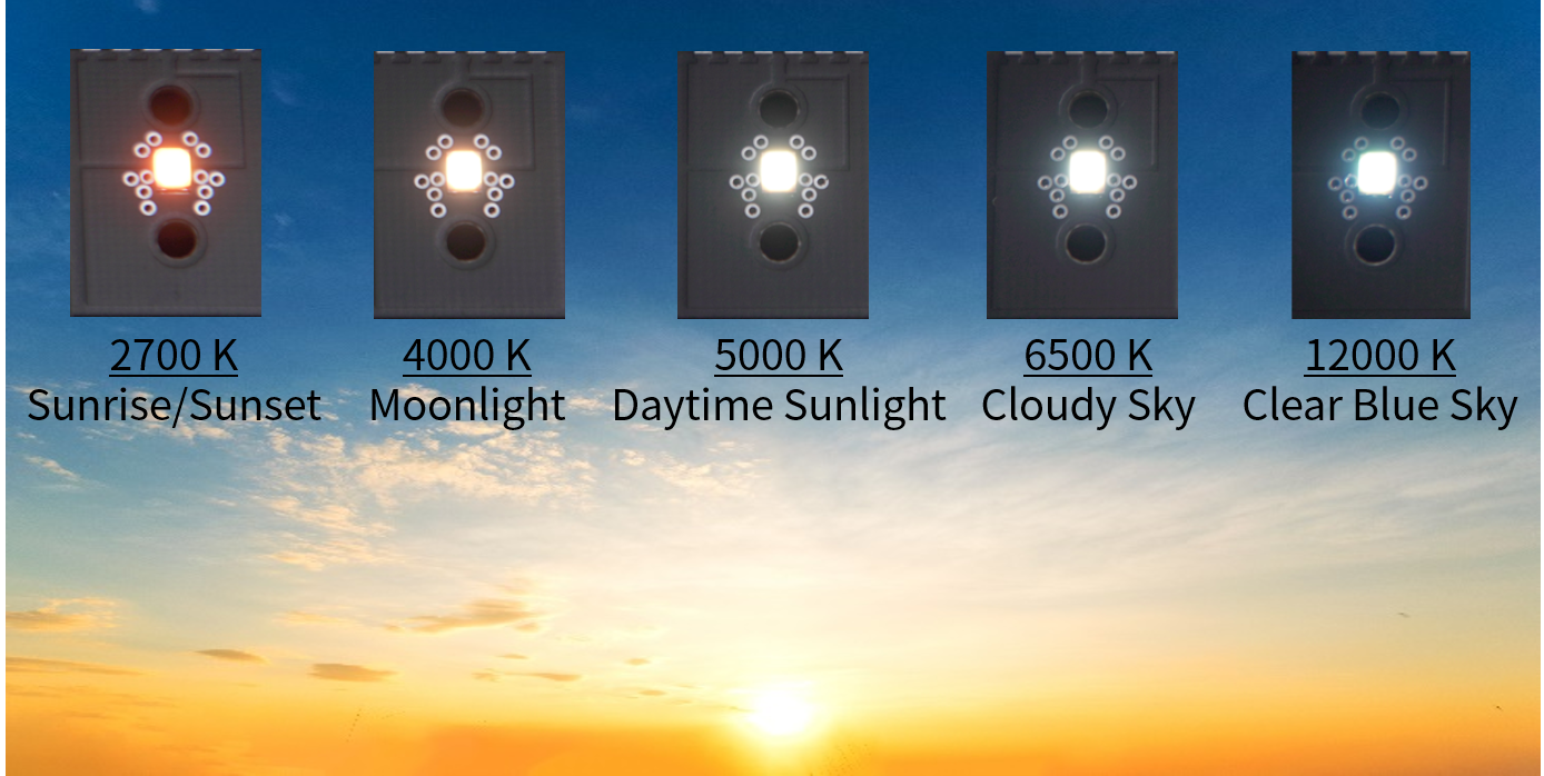 SEP1A / SEP2A Series: Ultra-high CRI LEDs to Provide High Quality ...